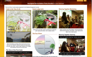 Mahara – a Versatile Open-source ePortfolio – Nursing Informatics ...